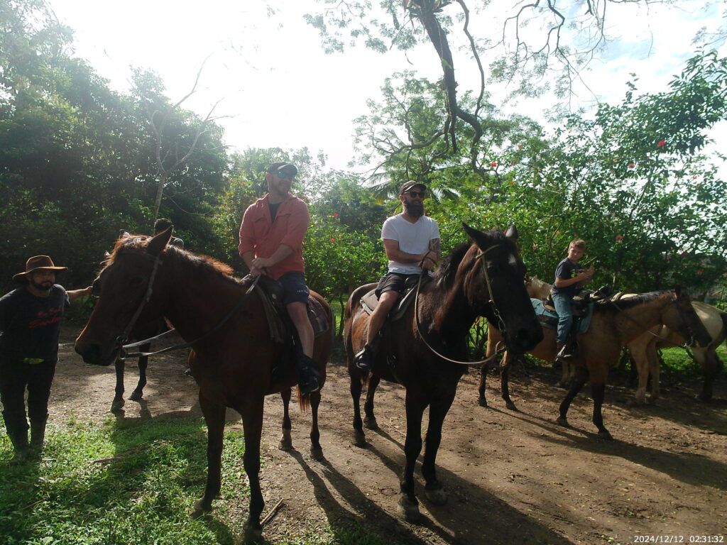 Horseback Riding Adventure Tour - Nelson Maya Adventures